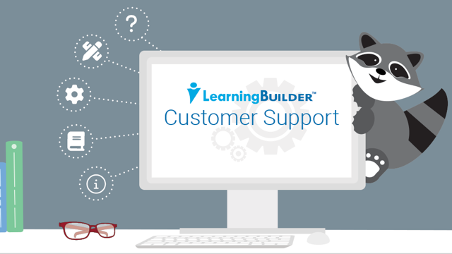 Making the Most of the LearningBuilder Support Process - Heuristic Solutions
